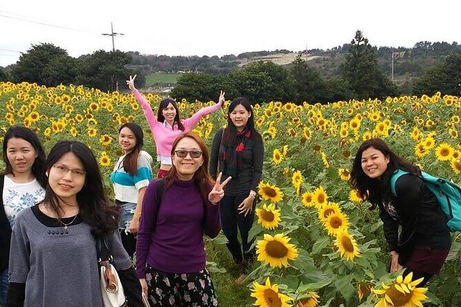 2 Days Private Taxi Tour - West and South of Jeju Island - An In-Depth Look at the Itinerary