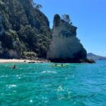 2 Days Private Tour in Coromandel Peninsula from Hamilton - An In-Depth Look at the Coromandel Private Tour