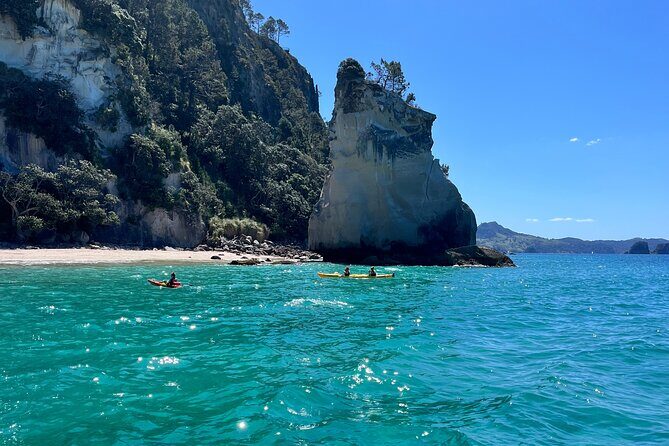 2 Days Private Tour in Coromandel Peninsula from Hamilton - An In-Depth Look at the Coromandel Private Tour