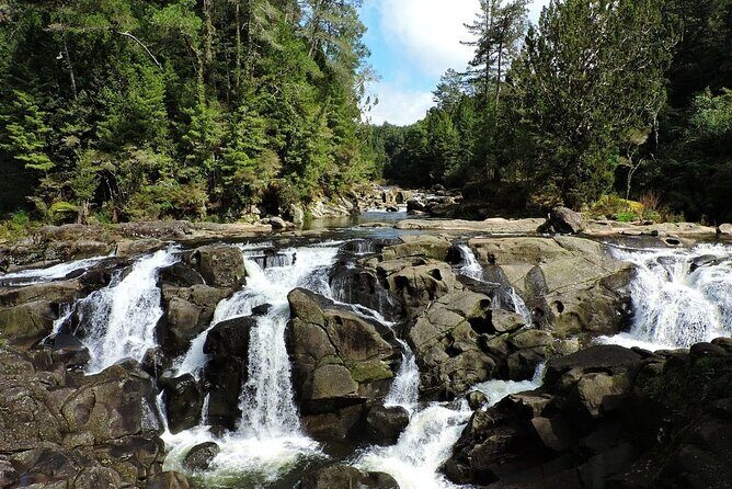 2 Days Private Tour in Tauranga, Rotorua, Taupo from Hamilton - Why This Tour Offers Good Value