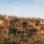 2 Days Ranthambore Tiger Safari with Tickets - What to Expect from the Itinerary