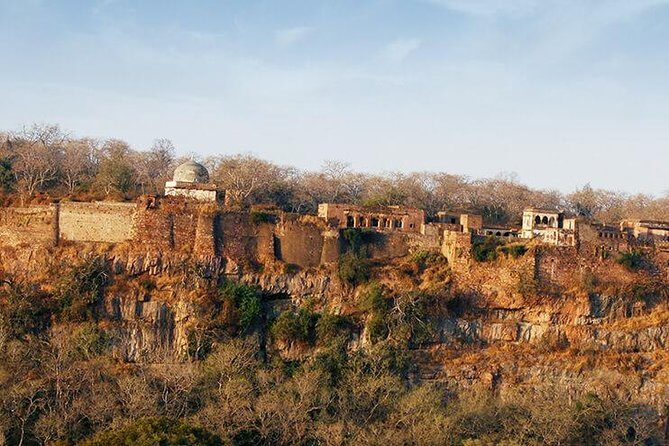 2 Days Ranthambore Tiger Safari with Tickets - What to Expect from the Itinerary