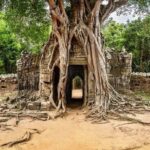 2 Days Siem Reap Angkor Wat Tour-Small Group - The Practicalities and What You’ll Value