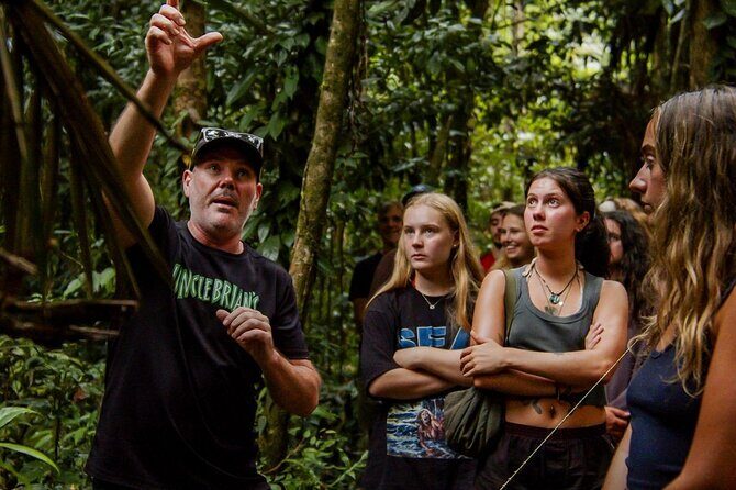 2 Days Tour on Atherton Tablelands and Cape Tribbin - Breaking Down the Itinerary: What You’ll Experience