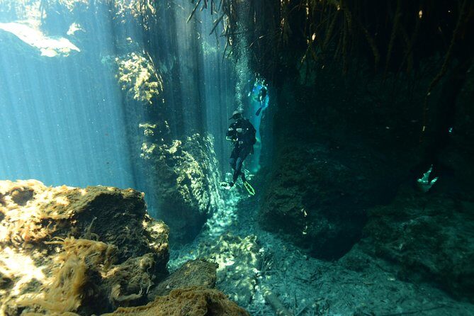 2 dives in Cenote Dos ojos Certified Divers - Why This Tour Is a Great Value