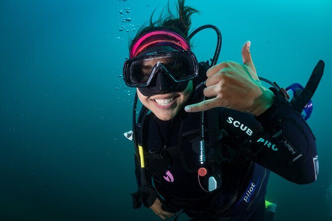2 Dives in the Cabo Marine Park - An In-Depth Look at the Tour
