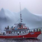 2 Hour Boat Tour in Twillingate - The Experience in Detail: What You Can Expect