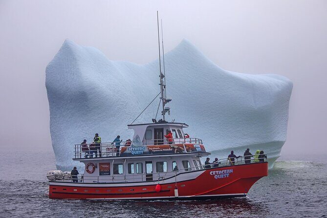 2 Hour Boat Tour in Twillingate - The Experience in Detail: What You Can Expect
