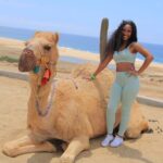 2-Hour Camel Ride Beach and Desert Adventure Experience - Transportation and Group Size