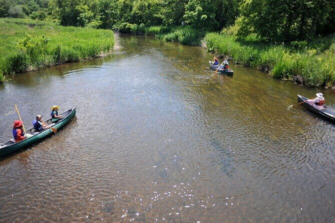 2 Hour Canoe on the Bibi River - Value and Practical Considerations