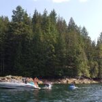 2 Hour Chartered Boat Tour from Deep Cove North Vancouver - Why This Tour Might Be Perfect for You
