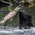 2 Hour Custom Wildlife and Historical Tour - Guides and Personal Touches