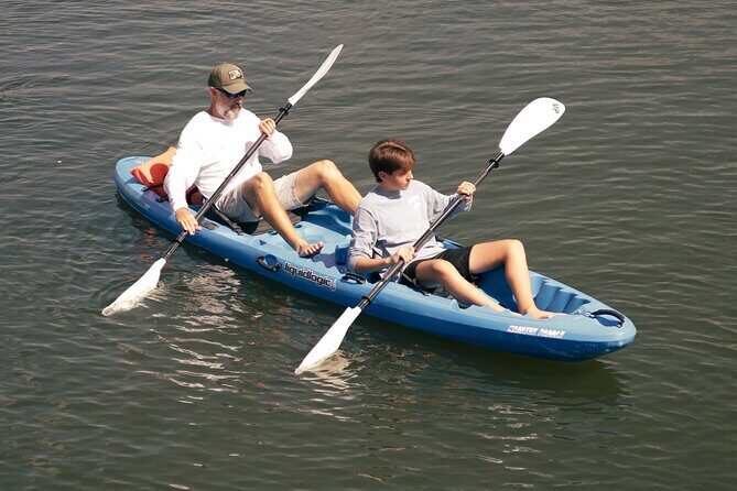 2 Hour Double Kayak Rental - Breaking Down the Itinerary and Experience