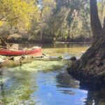 2 Hour Guided Clear Glass Bottom Kayak Tour Gilchrist Blue Spring - Is This Tour Worth the Price? Analyzing Value