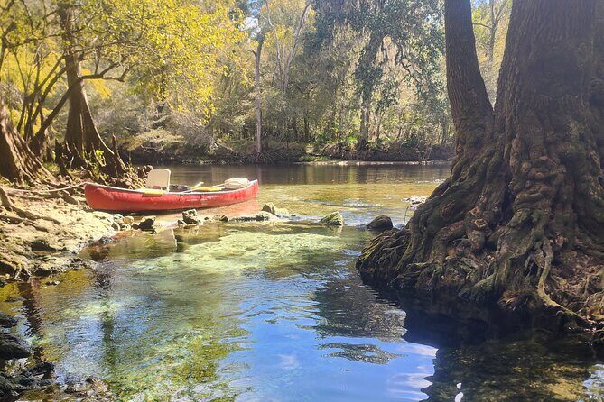 2 Hour Guided Clear Glass Bottom Kayak Tour Gilchrist Blue Spring - Is This Tour Worth the Price? Analyzing Value