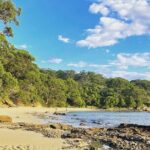 2-Hour Guided Walking Tour in Sydney Harbour National Park - Frequently Asked Questions