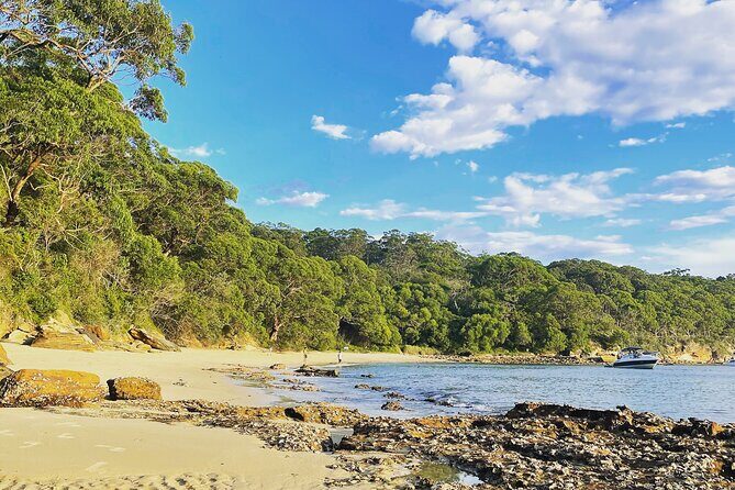 2-Hour Guided Walking Tour in Sydney Harbour National Park - Frequently Asked Questions
