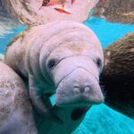 2 Hour Kayak Rental - What to Expect During Your Paddling Day