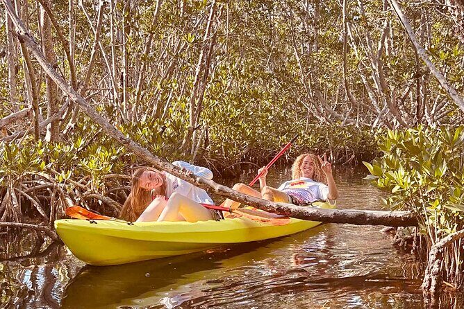 2 Hour Key West Kayak Rental  Discover Mangroves & Wildlife! - Practical Details: What You Need To Know