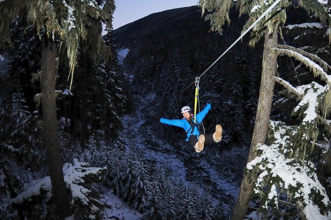 2 Hour Late Afternoon Winter Zipline Adventure - Comfort, Safety, and Personal Touches