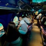 2-Hour Maldives Submarine Tour From Male - What Our Readers Say