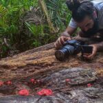 2-Hour Mushroom Photography Activity in Cairns Botanic Gardens - Why this Tour Offers Good Value