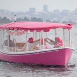 2-Hour Private Pink Bachelorette Boat Cruise in San Diego Bay - Why the Pink Theme Matters