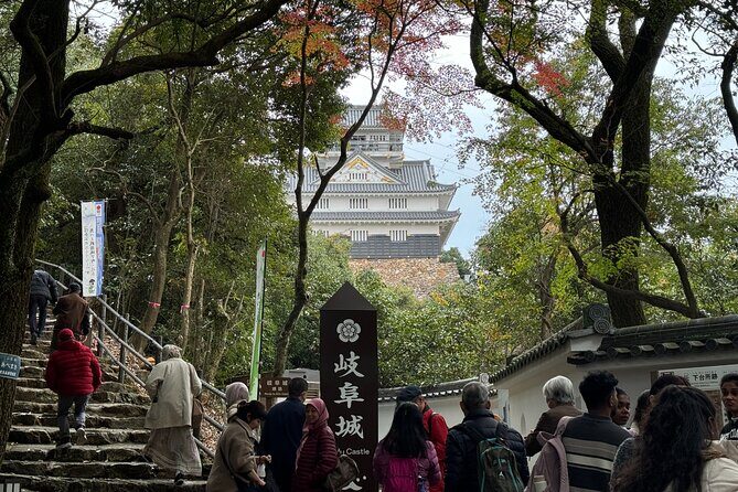 2 Hour Private Scenic Mountain Castle Tour in Gifu - The Sum Up