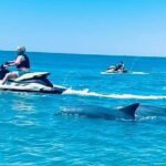2 Hour Shell Island Jet Ski Dolphin Tour - The Experience vs. the Price