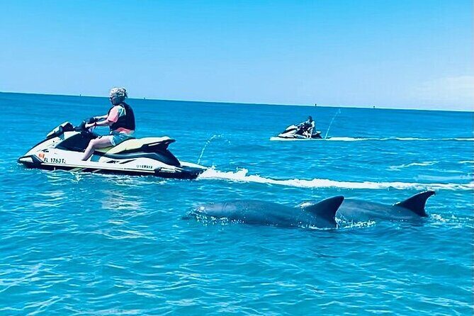 2 Hour Shell Island Jet Ski Dolphin Tour - The Experience vs. the Price