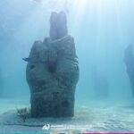 2-Hour Snorkeling Paradise Reef in Cancún Underwater Museum - Practical Tips for Your Snorkeling Adventure