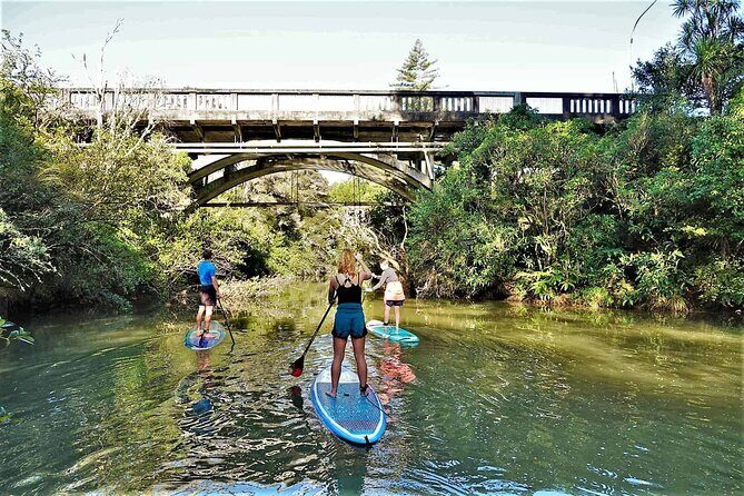 2-Hour Stand-Up Paddle Boarding Tour to Lucas Creek Waterfall - The Value of the Experience