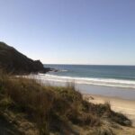 2 Hour Surf Lesson - Te Arai Beach - An In-Depth Look at the Experience