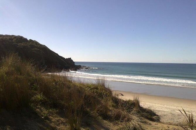 2 Hour Surf Lesson - Te Arai Beach - An In-Depth Look at the Experience
