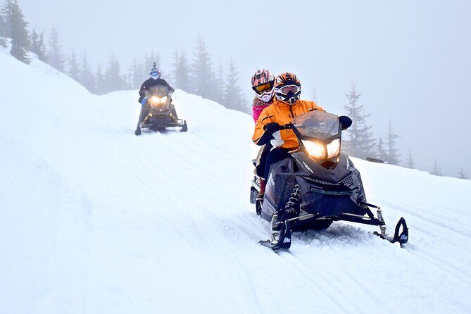2 Hour Wilderness Adventure Snowmobile Tour in Whistler - Authentic Traveler Perspectives