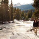 2 Hour Winter Wilderness Walk with Wildlife Tracking - Why You Should Consider This Tour