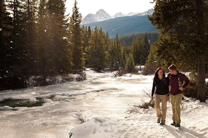 2 Hour Winter Wilderness Walk with Wildlife Tracking - Why You Should Consider This Tour