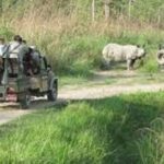2 N 3 Days Chitwan tour package from Pokhara or Kathmandu - Day 1: Wildlife and Culture