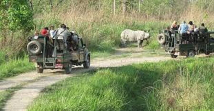 2 N 3 Days Chitwan tour package from Pokhara or Kathmandu - Day 1: Wildlife and Culture
