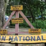 2 Night 3 Days Chitwan National Park/From Kathmandu/Pokhra - The Value of the Experience