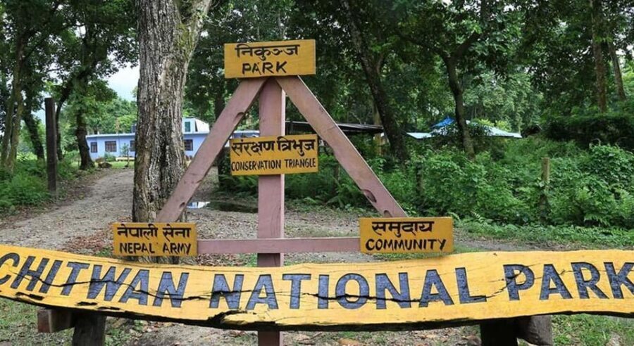 2 Night 3 Days Chitwan National Park/From Kathmandu/Pokhra - The Value of the Experience