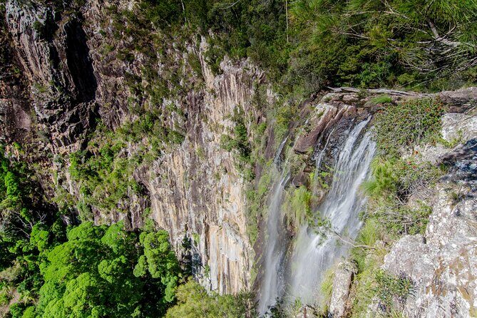 2 Night Rainforest Glamping Adventure near Byron Bay - The Experience’s Real Strengths