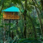 2 Nights Munnar Treehouse Escape with Private Car- Iris Holidays - The Value of the Unique Stay