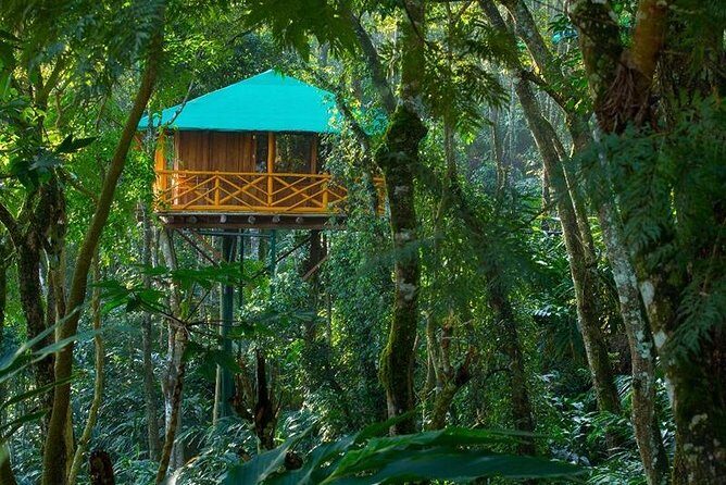 2 Nights Munnar Treehouse Escape with Private Car- Iris Holidays - The Value of the Unique Stay