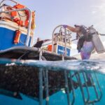 2-Tank Dive Featuring the Molokini Crater - The Guides and Crew: Knowledge, Safety, and Friendliness