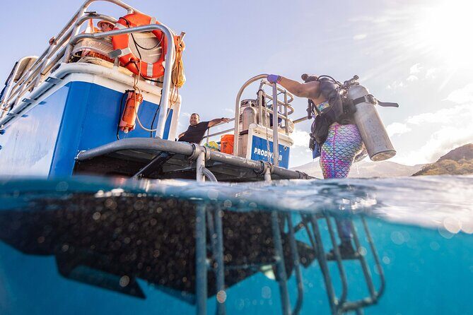 2-Tank Dive Featuring the Molokini Crater - The Guides and Crew: Knowledge, Safety, and Friendliness