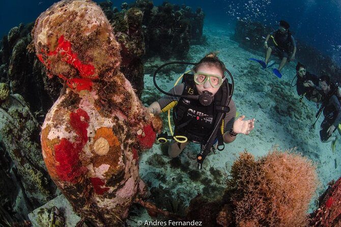 2 Tank Dives MUSA and Manchones reef (Certified divers) - Who Is This Tour Best Suited For?