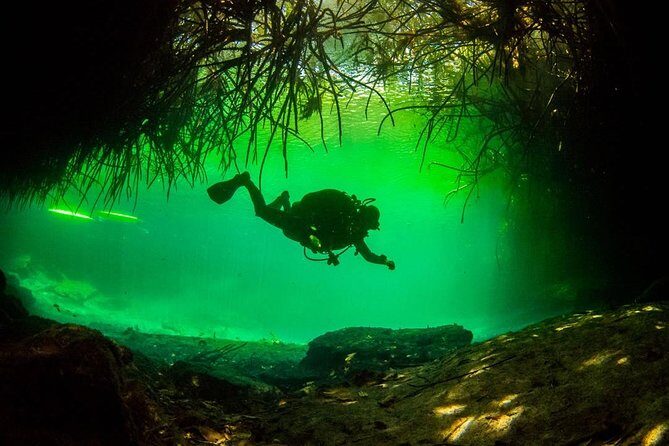 2 tanks Cenote Diving Adventure in Tulum for Certified Divers - Authentic Experiences Shared by Travelers