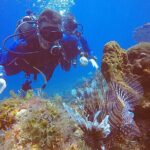 2 Tanks Scuba Diving in Punta Cancun Reefs for Certified Divers - Practical Details and Tips