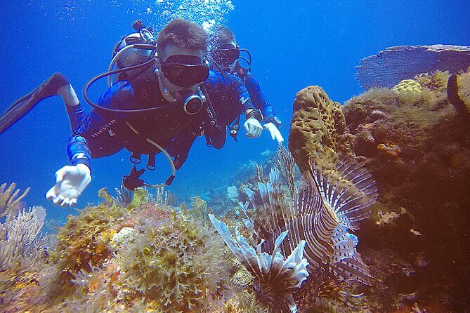 2 Tanks Scuba Diving in Punta Cancun Reefs for Certified Divers - Practical Details and Tips